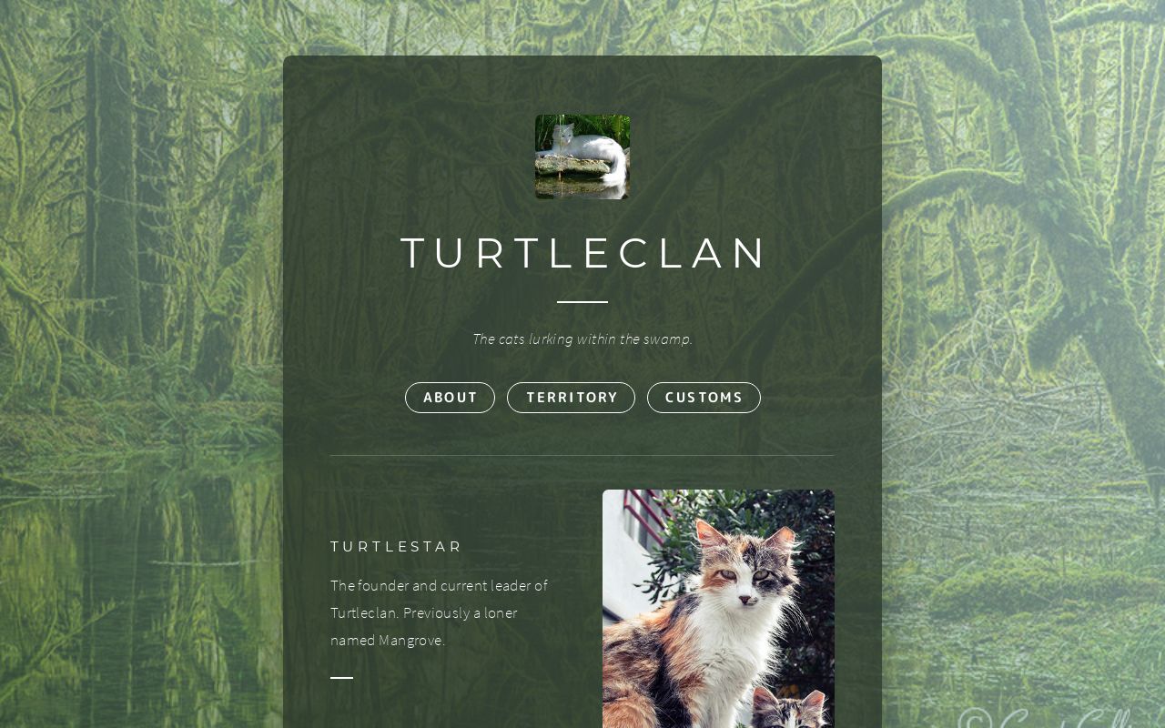 Turtleclan